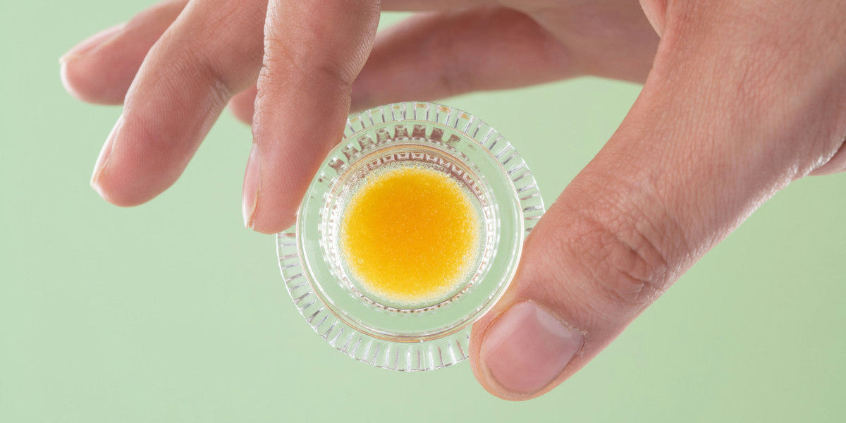 Best Portable Dab Rig | Best Electric Dab Rigs for Portable Use ...